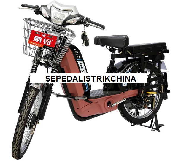 Sepeda Listrik China Model BYD-BLW-VI Murah - SEPEDA CHINA
